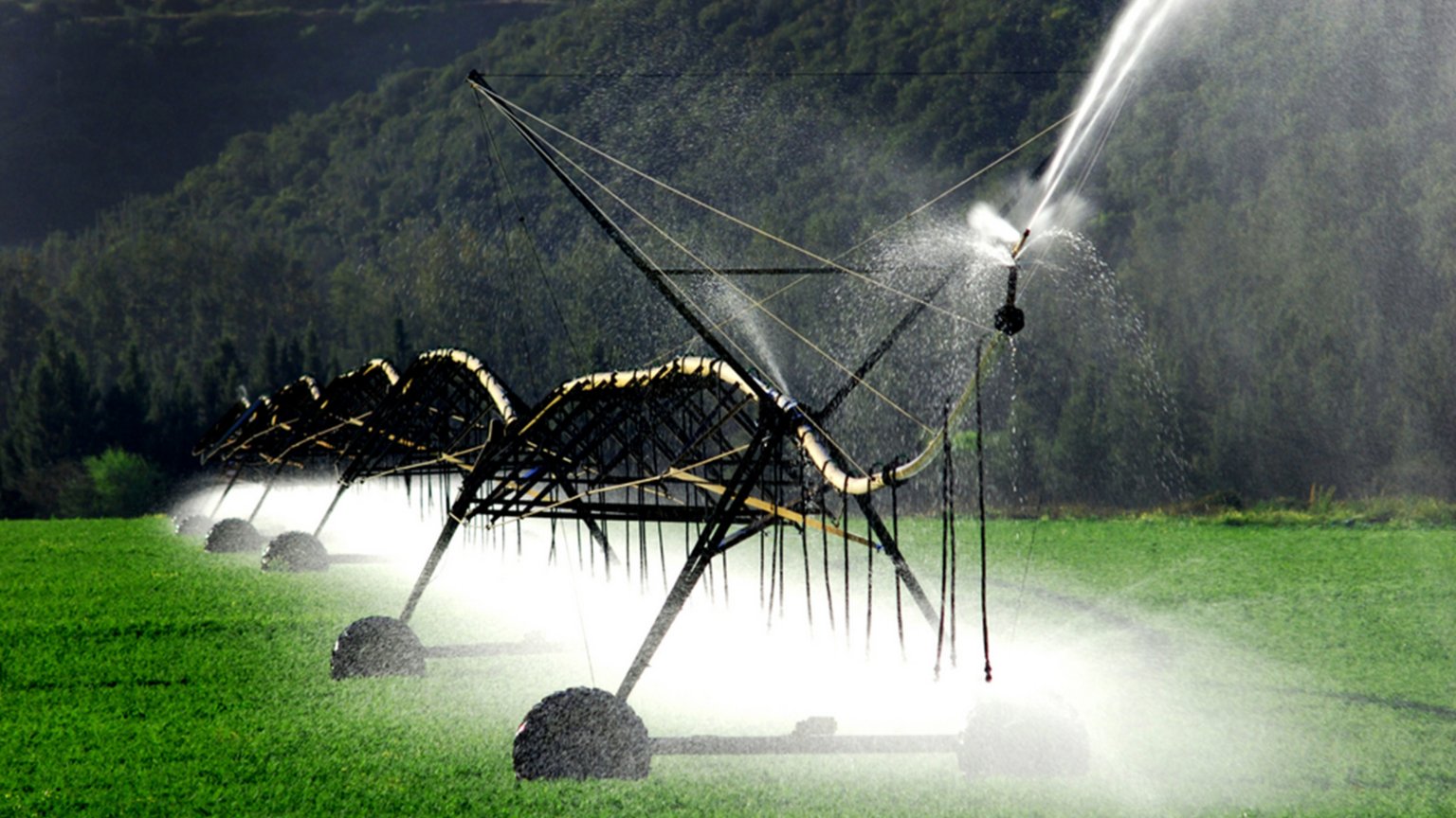 Softstarters Tech Tips | Sprecher + Schuh