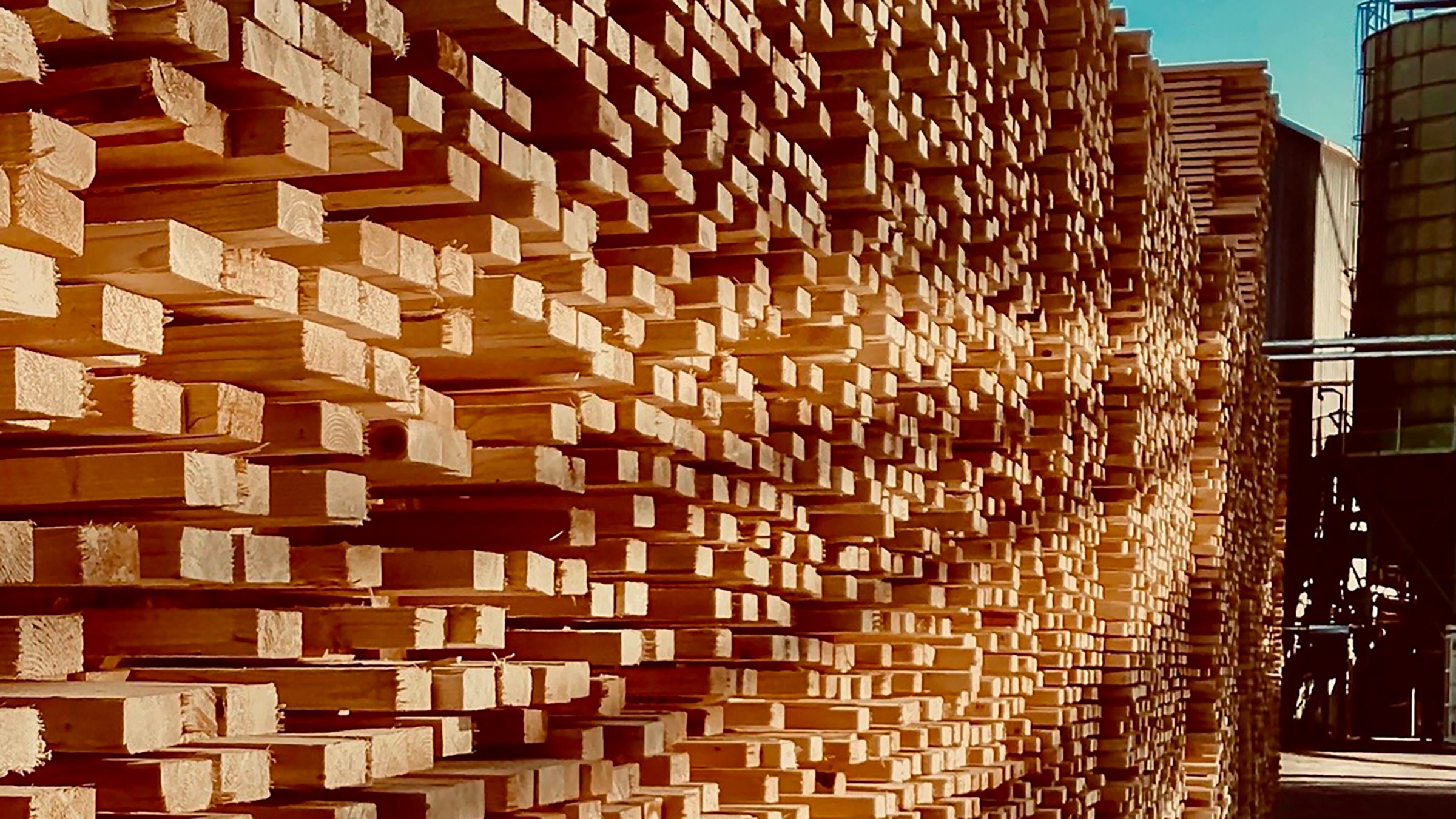 Lumber Mill Gains Efficiency from Motion Upgrade | Rockwell Automation | US