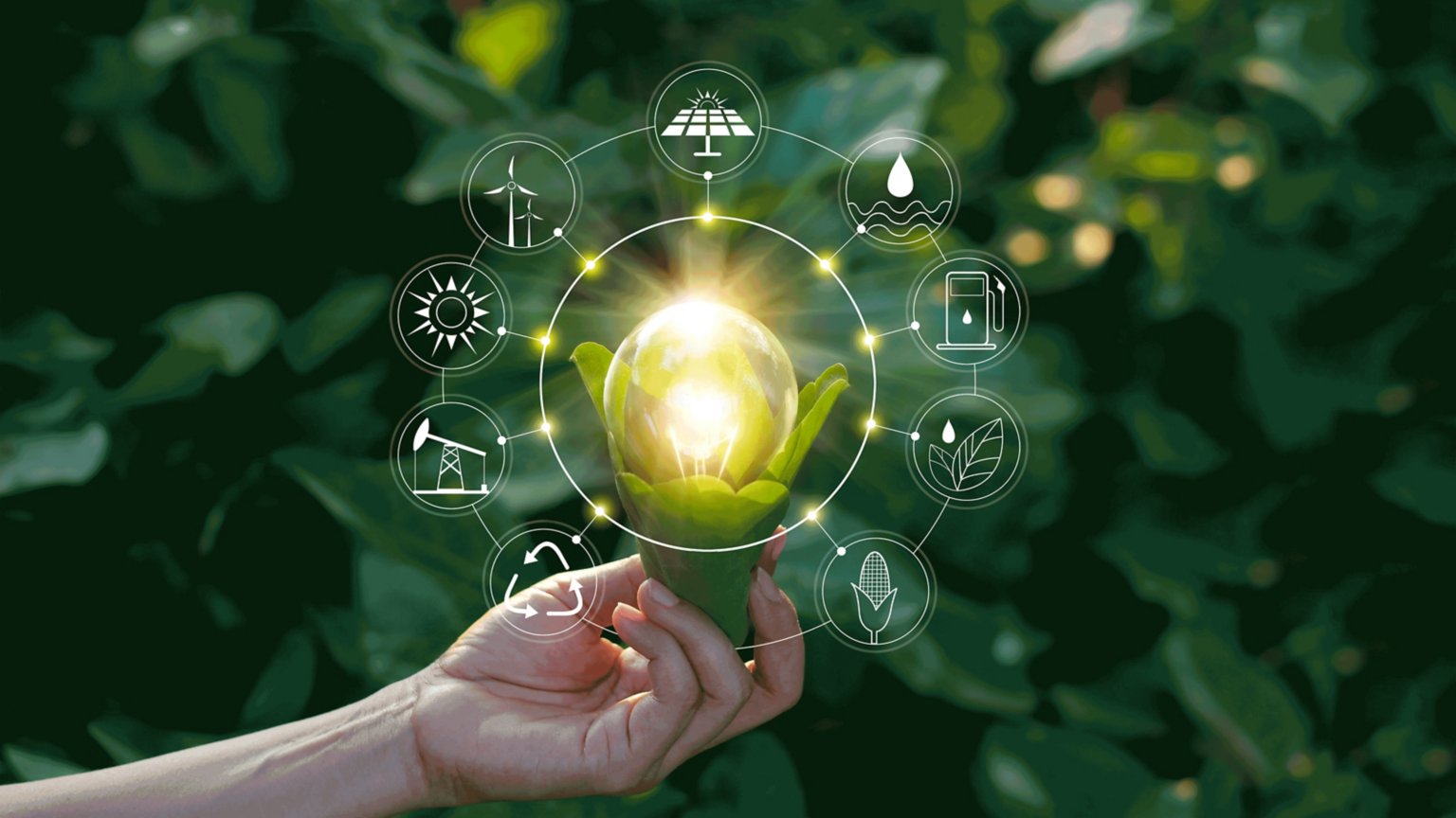 Variable Frequency Drive (VFD) | Rockwell Automation | US