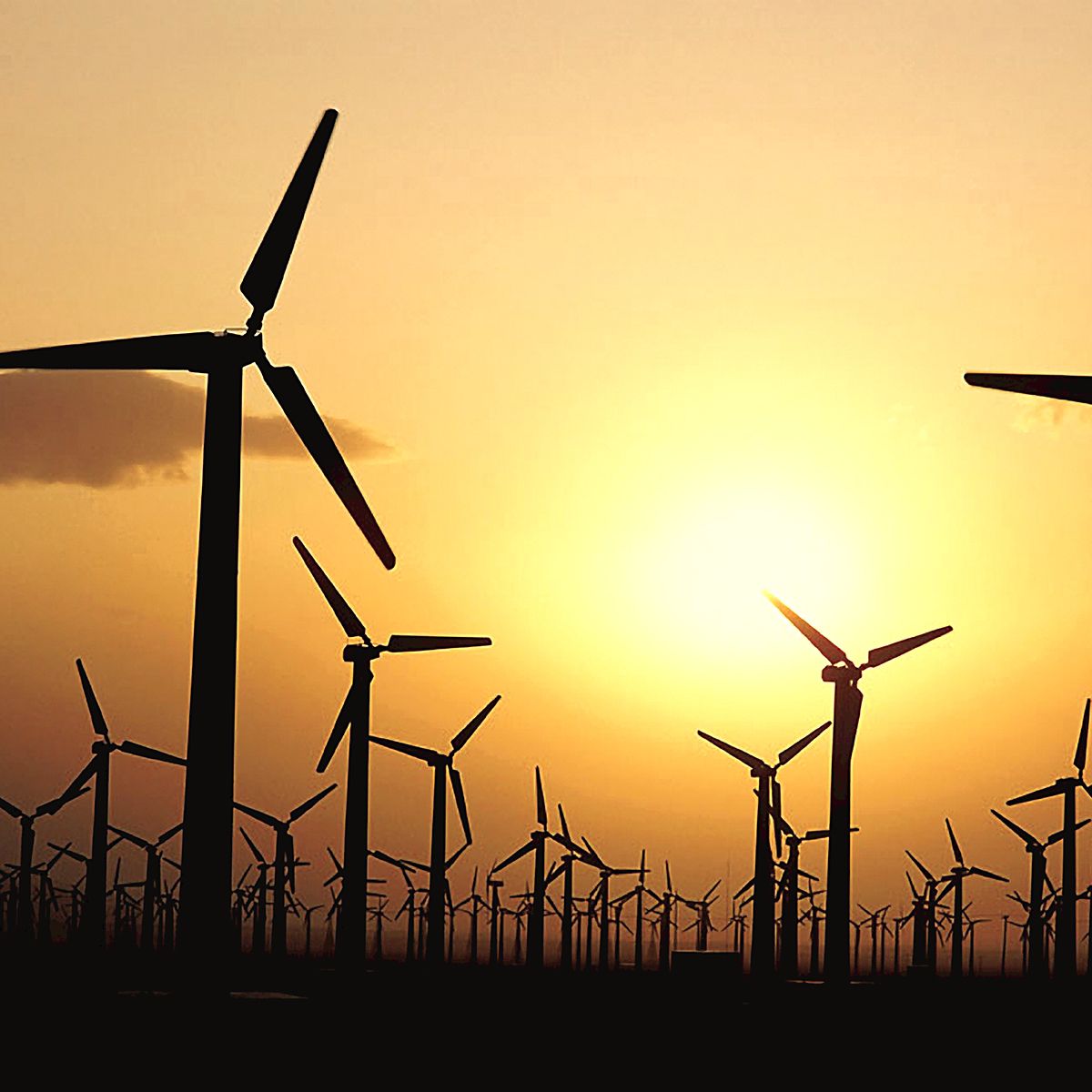 Wind Power Generation Capabilities | Rockwell Automation